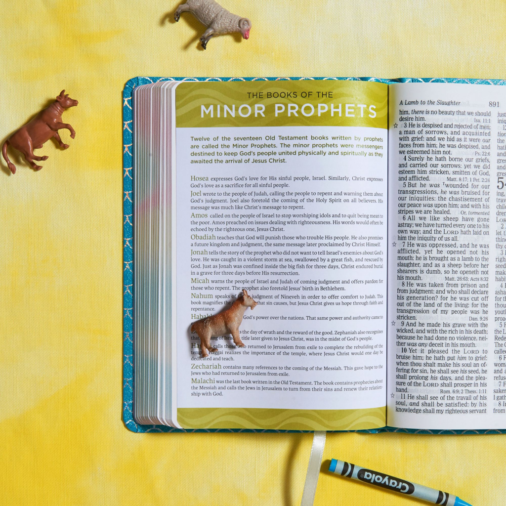 KJV Kids Bible, Aqua LeatherTouch - B&H Publishing