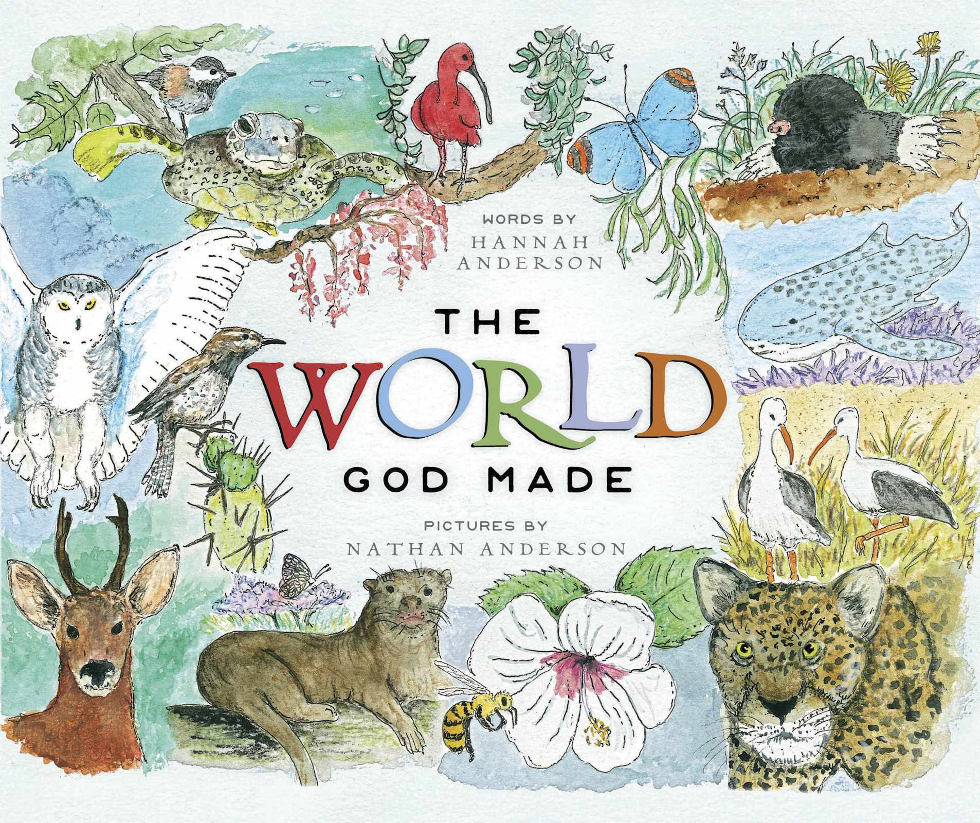 The World God Made - B&H Publishing