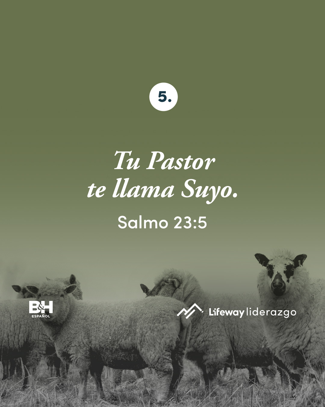 Salmo 23 - 5 - B&H Publishing