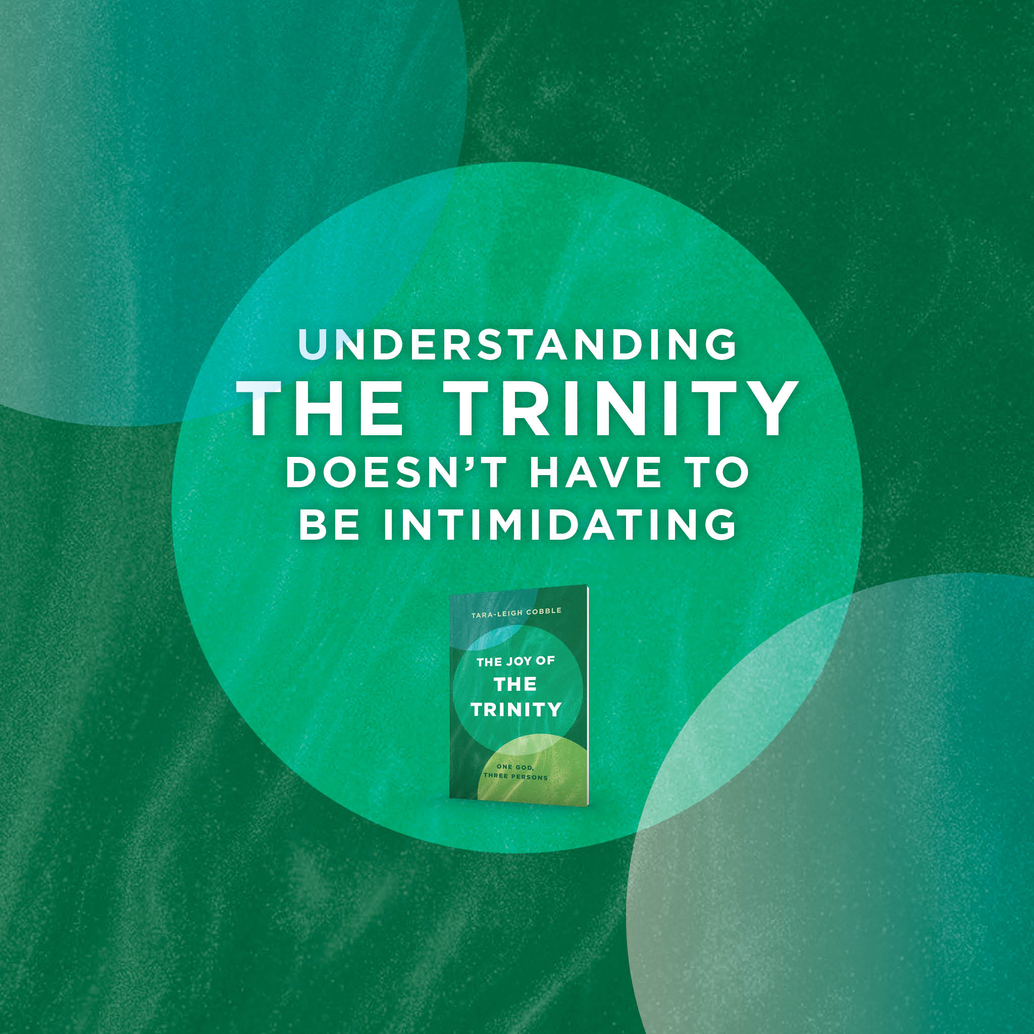 The Joy of the Trinity - B&H Publishing