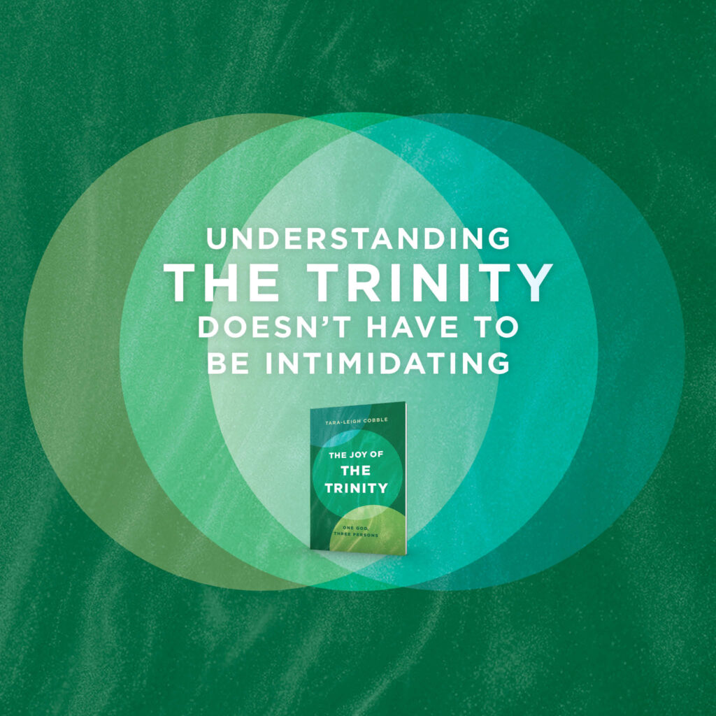 The Joy of the Trinity - B&H Publishing