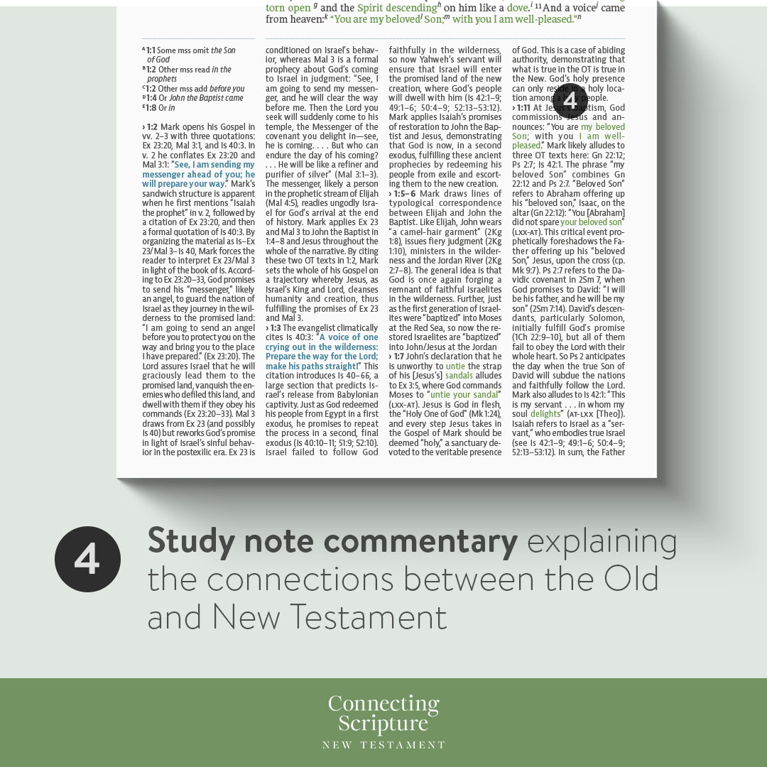 CSB Connecting Scripture, New Testament - B&H Publishing