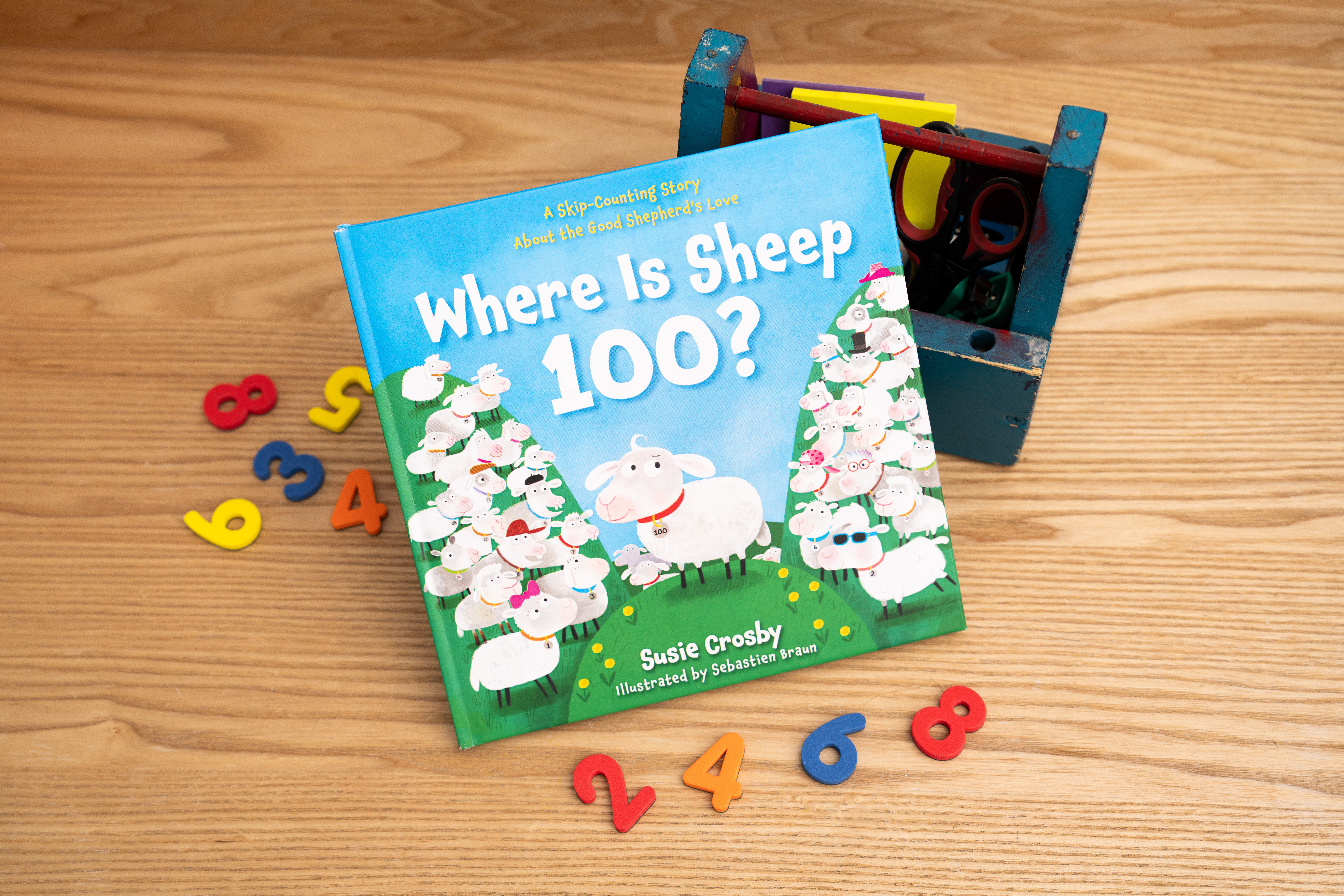 Where Is Sheep 100 Photo 1 - B&H Publishing