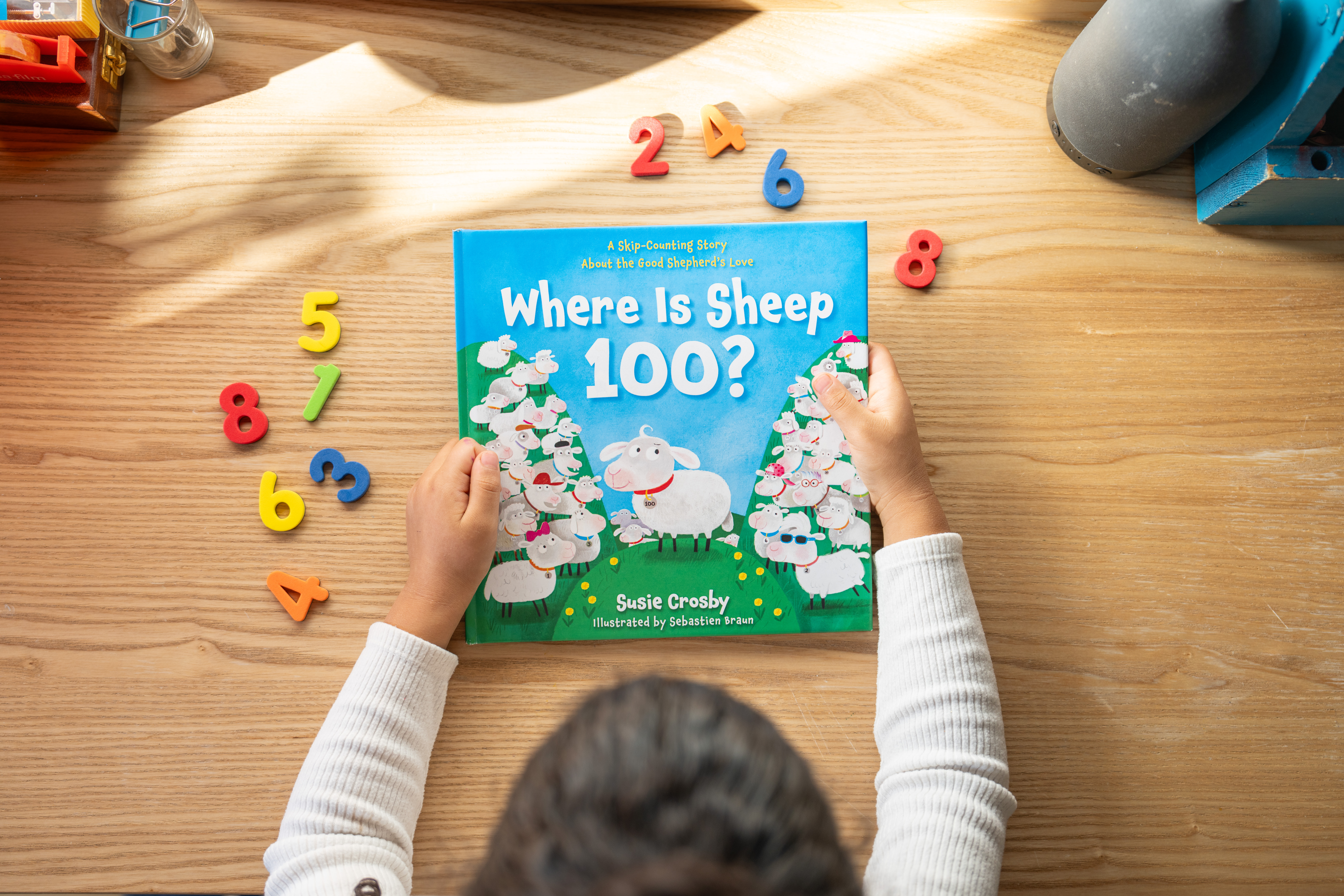 Where Is Sheep 100 Photo 2 - B&H Publishing