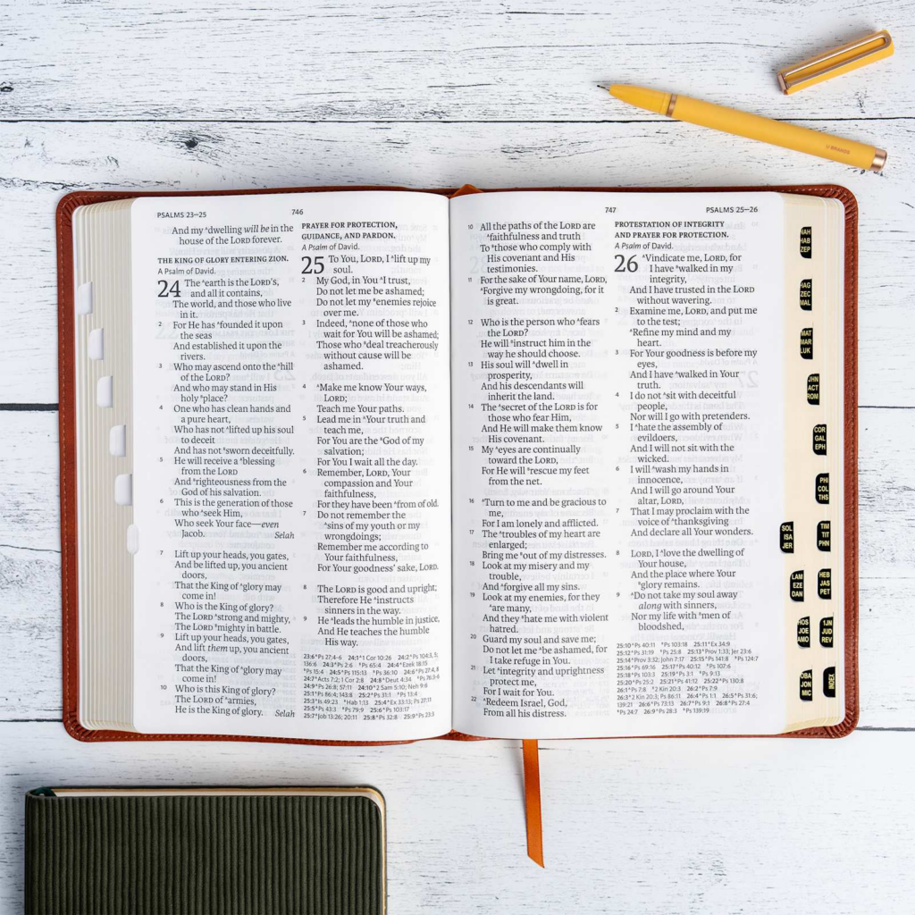 NASB Personal Size Giant Print Bible, Burnt Sienna LeatherTouch ...