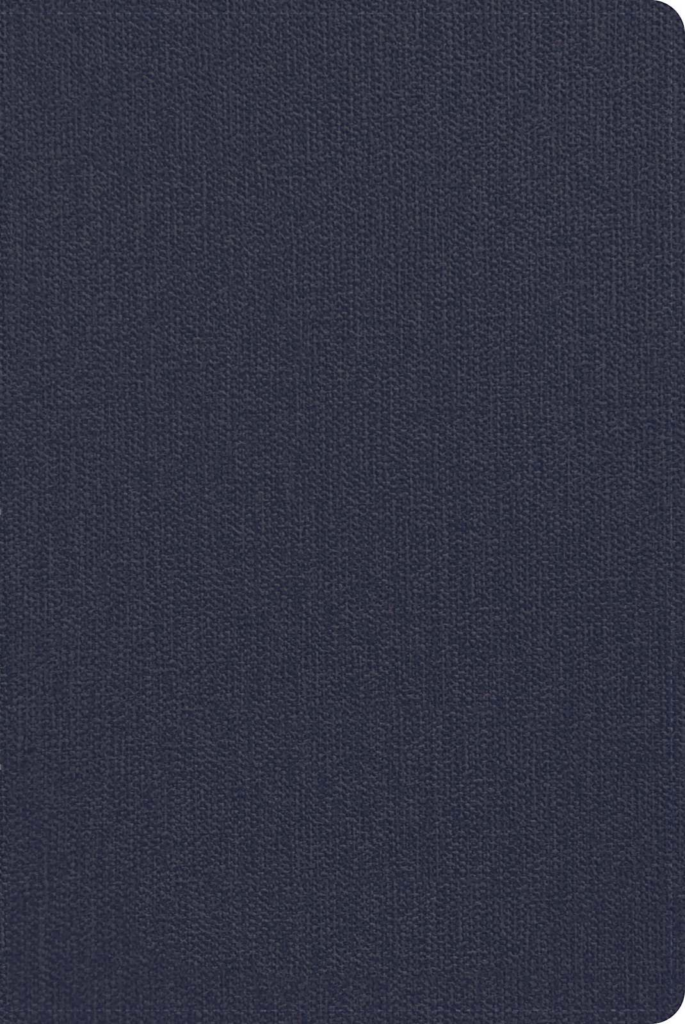 CSB Men's Daily Bible, Blue LeatherTouch - B&H Publishing